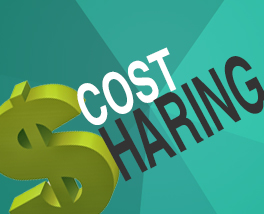 Understanding Cost Sharing and Matching Requirements - Withum