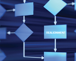 Tax Exempt and Government Entities Division Realignment
