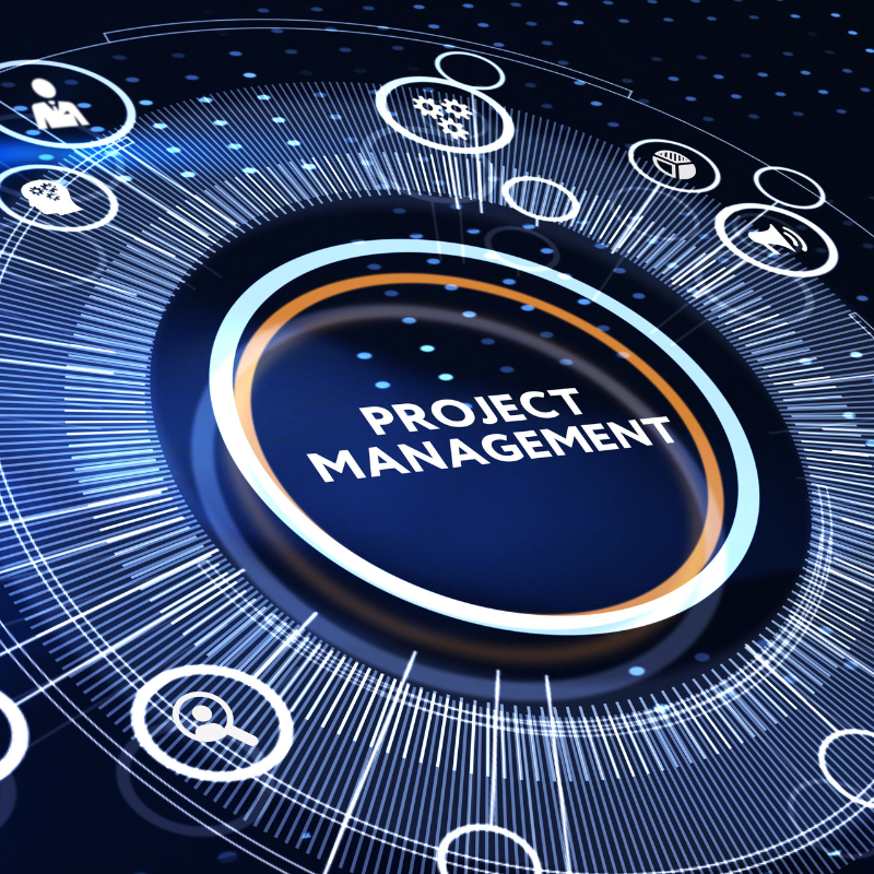 The Pros and Cons of Waterfall Project Management Methodology - Withum